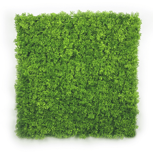 Moos Hellgrün-Dunkelgrün - Muster | Kunsthecke.de